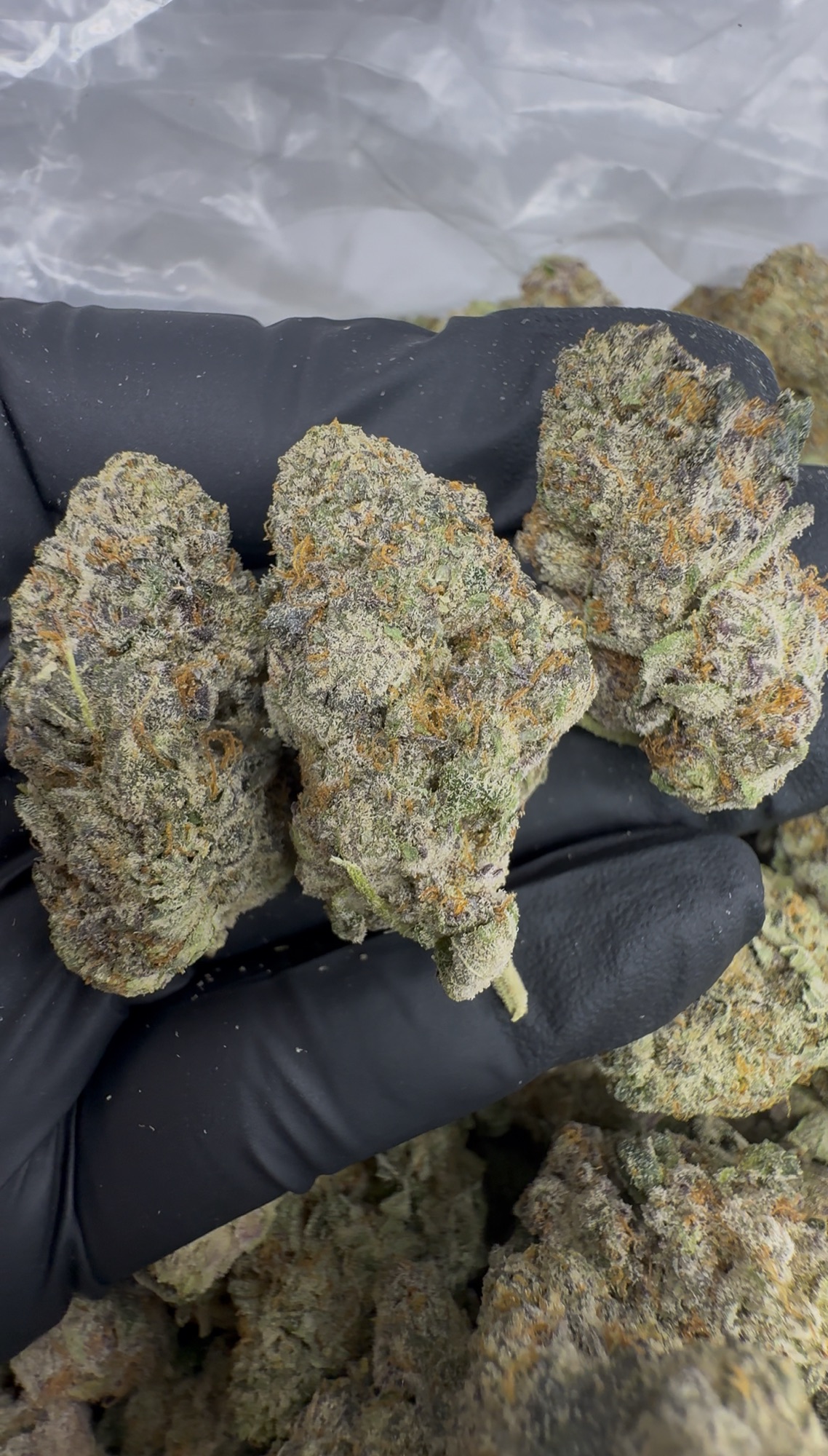 FLOWER 🔥 – NORTH AUSTIN SMOKE